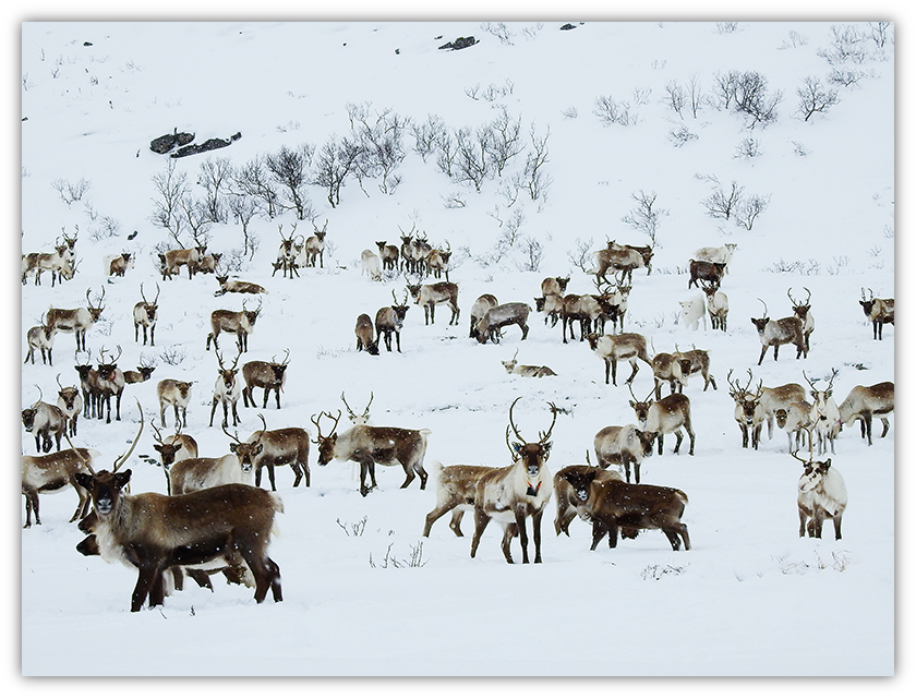 10d. Determination of Boundaries