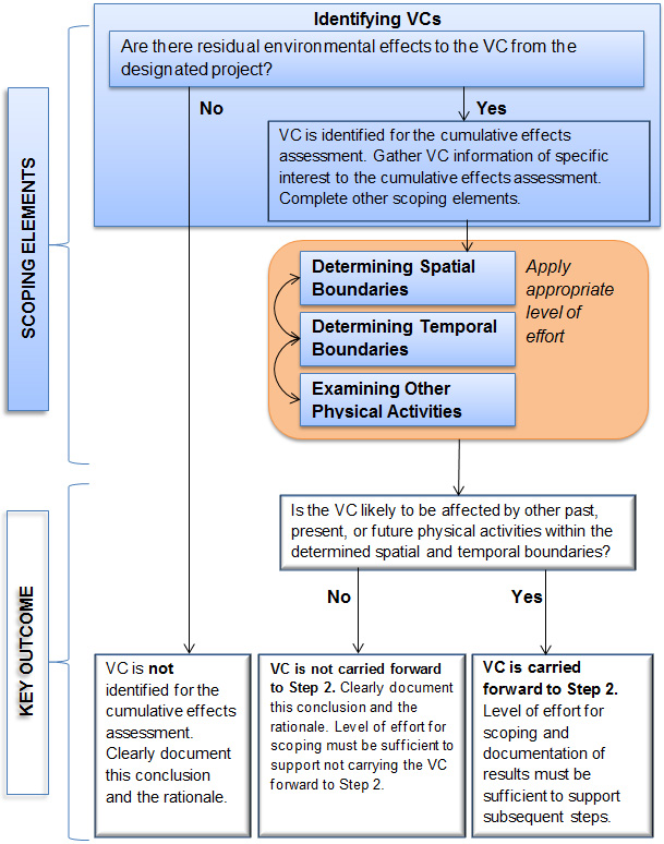 10c. Cumulative Effects Assessment Under CEAA 2012