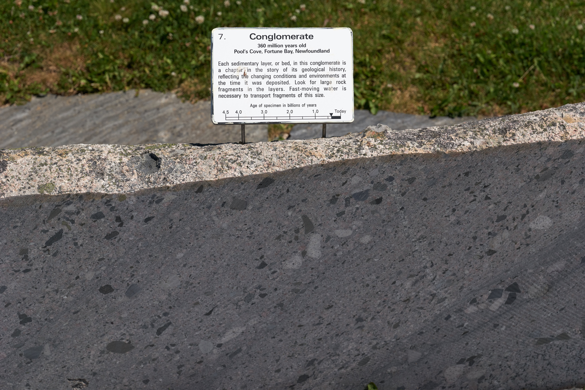 11.4 The Rock Cycle: Sedimentary Processes