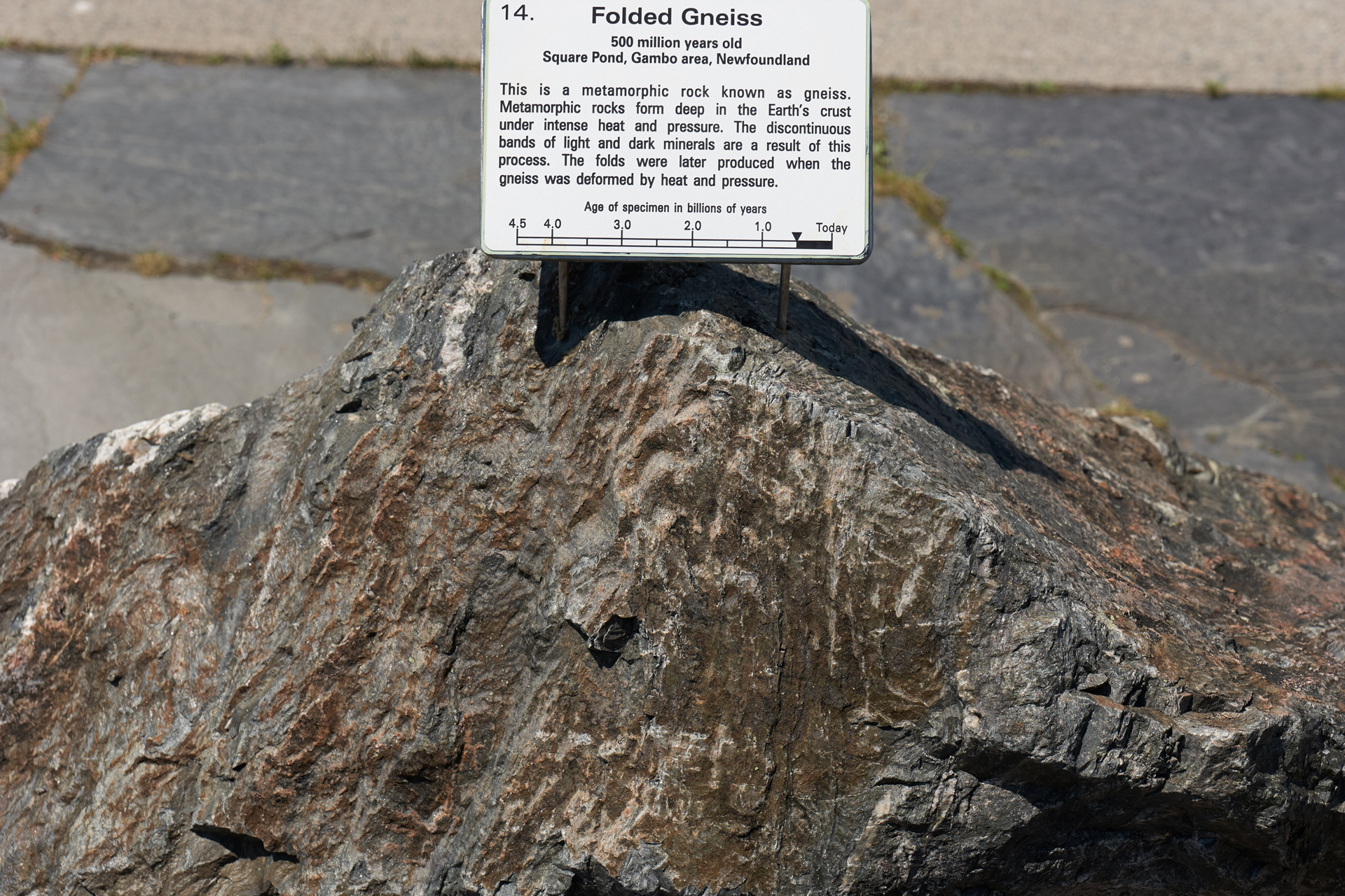 11.4 The Rock Cycle: Sedimentary Processes