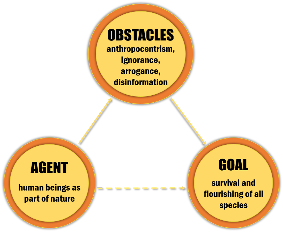 Triadic Models of Freedom Frameworks - All Ideologies