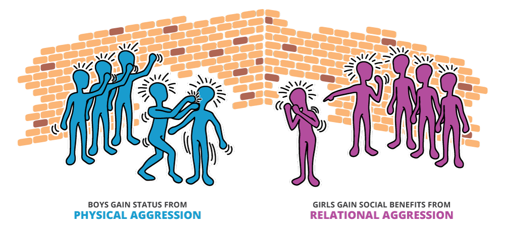 11f Individual Differences and Aggression: Personality and Gender