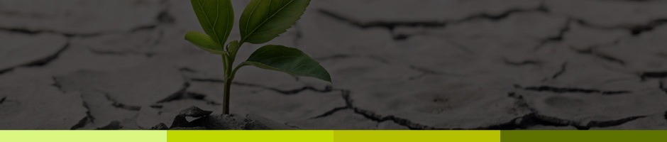 9c. Types of Adaptation